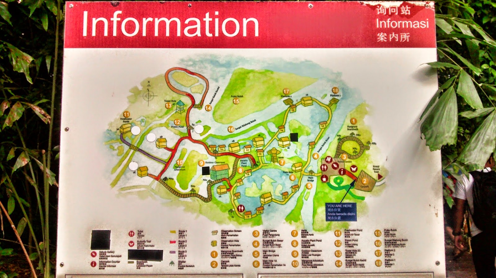 Getting to and around Sungei Buloh wetland reserve in Singapore - Vu ...