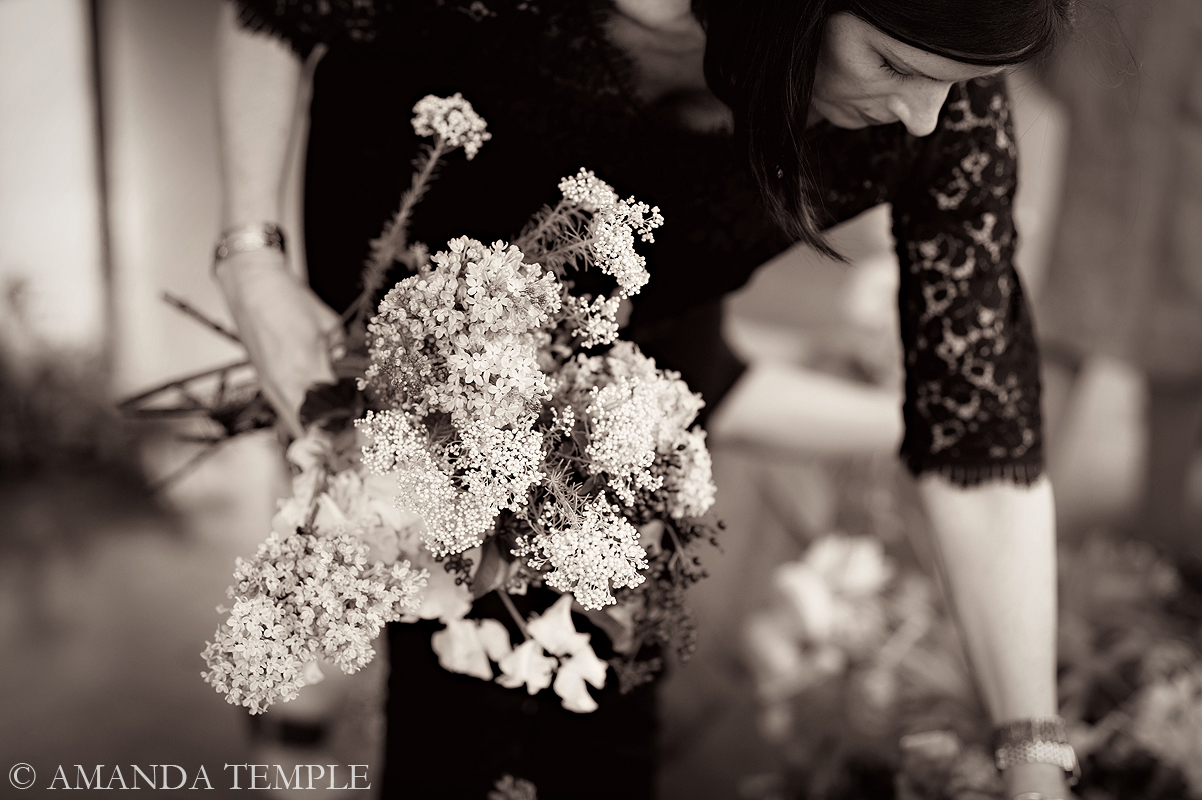 Petals - Bermuda Florist: The Agony and The Ecstasy