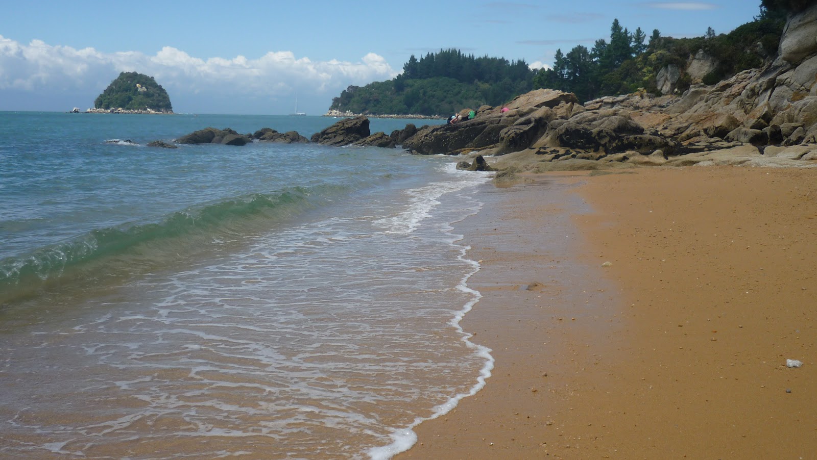 New-Zealand Adventure: Tondre des lamas à Cissy bay