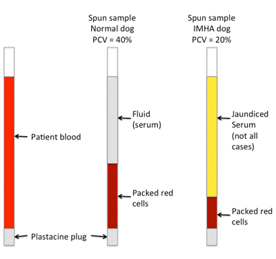 Lecture Notes in Medical Technology: Lecture #5: The Hematocrit