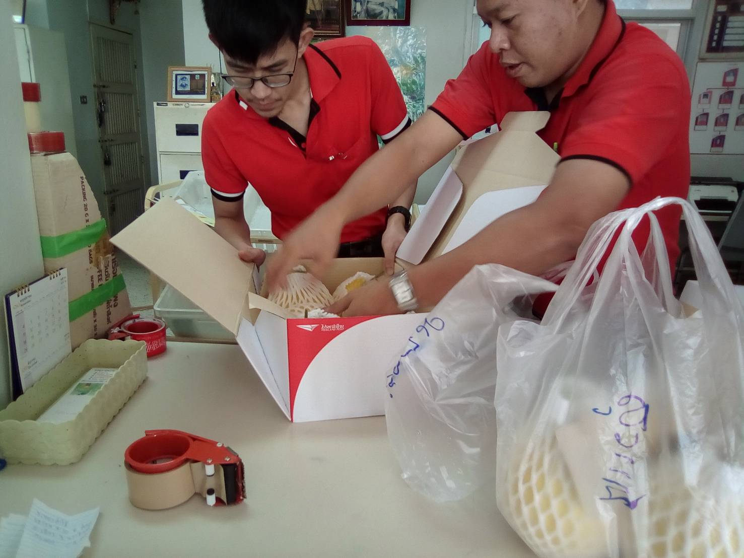 การปลูกเมล่อน Style Oji Meron: การปลูกเมล่อน Style Oji