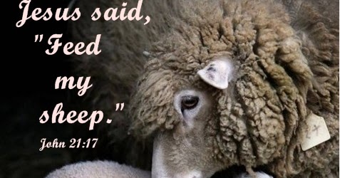 Seeds of Harvest: Jesus Said, "Feed My Sheep."(John 21:17)