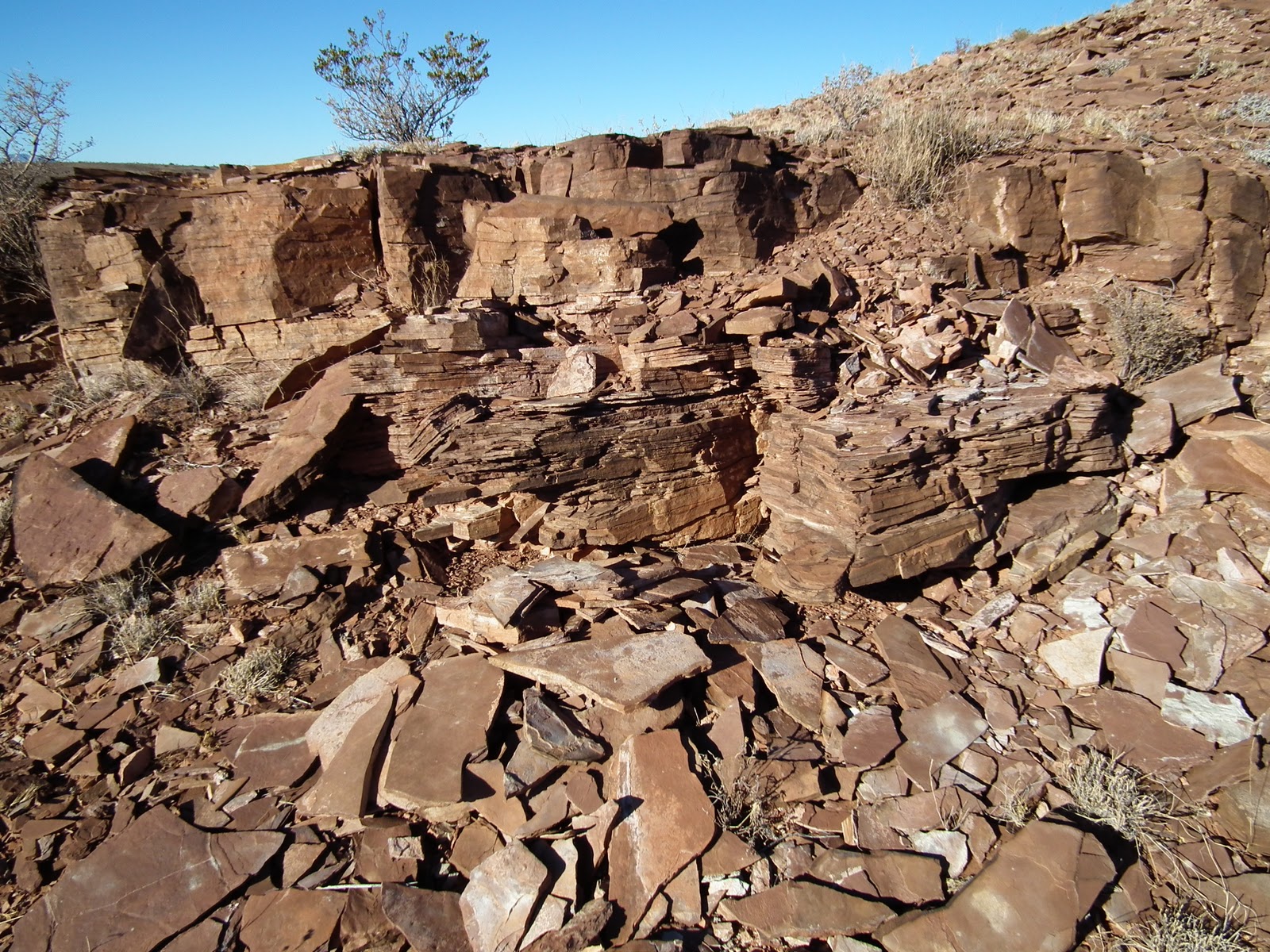 OUTDOORS NM: Lonely BLM Backcountry Byway Beckon's those Bored by the ...