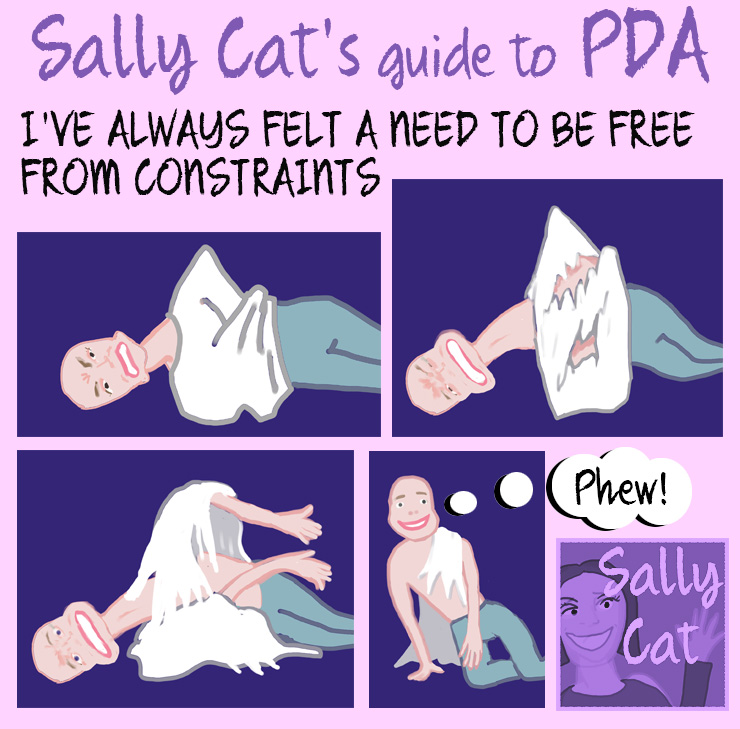 Sally Cat PDA: Memes About Demand Avoidance