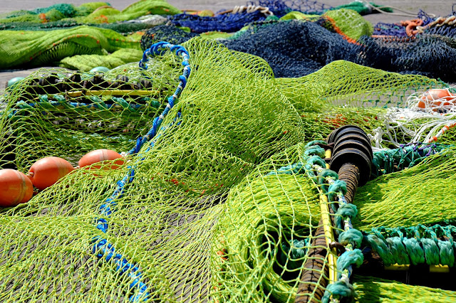 The Aquaculturists: 21/09/2015: Sustainable seafood sourcing: 25th-26th ...