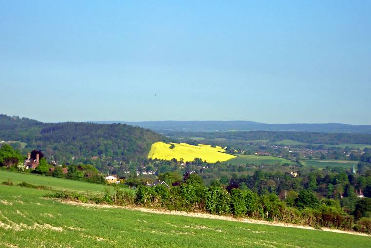 Beautiful Walks and Views The Mount Guildford | guildford uk