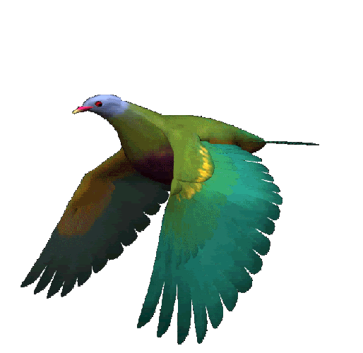 TALENTO HUMANO: 2 SESIÒN