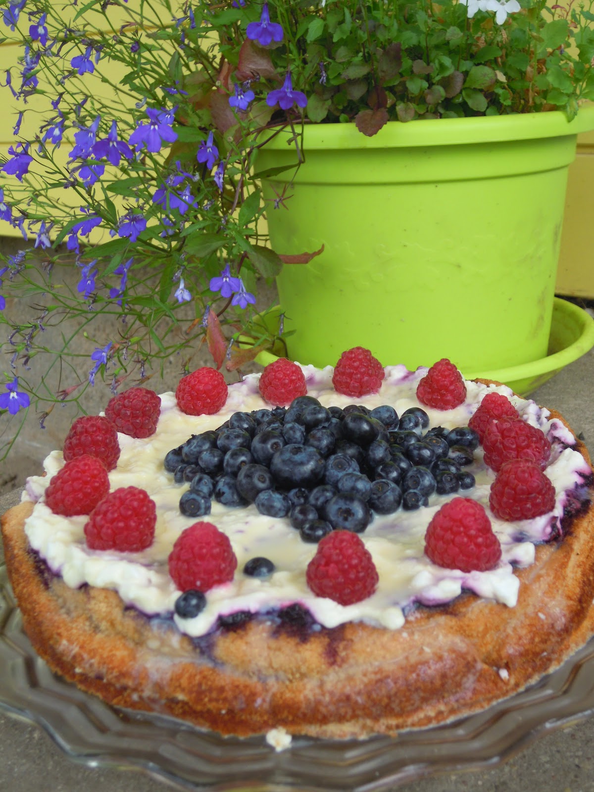 Mustika-kodujuustu tort