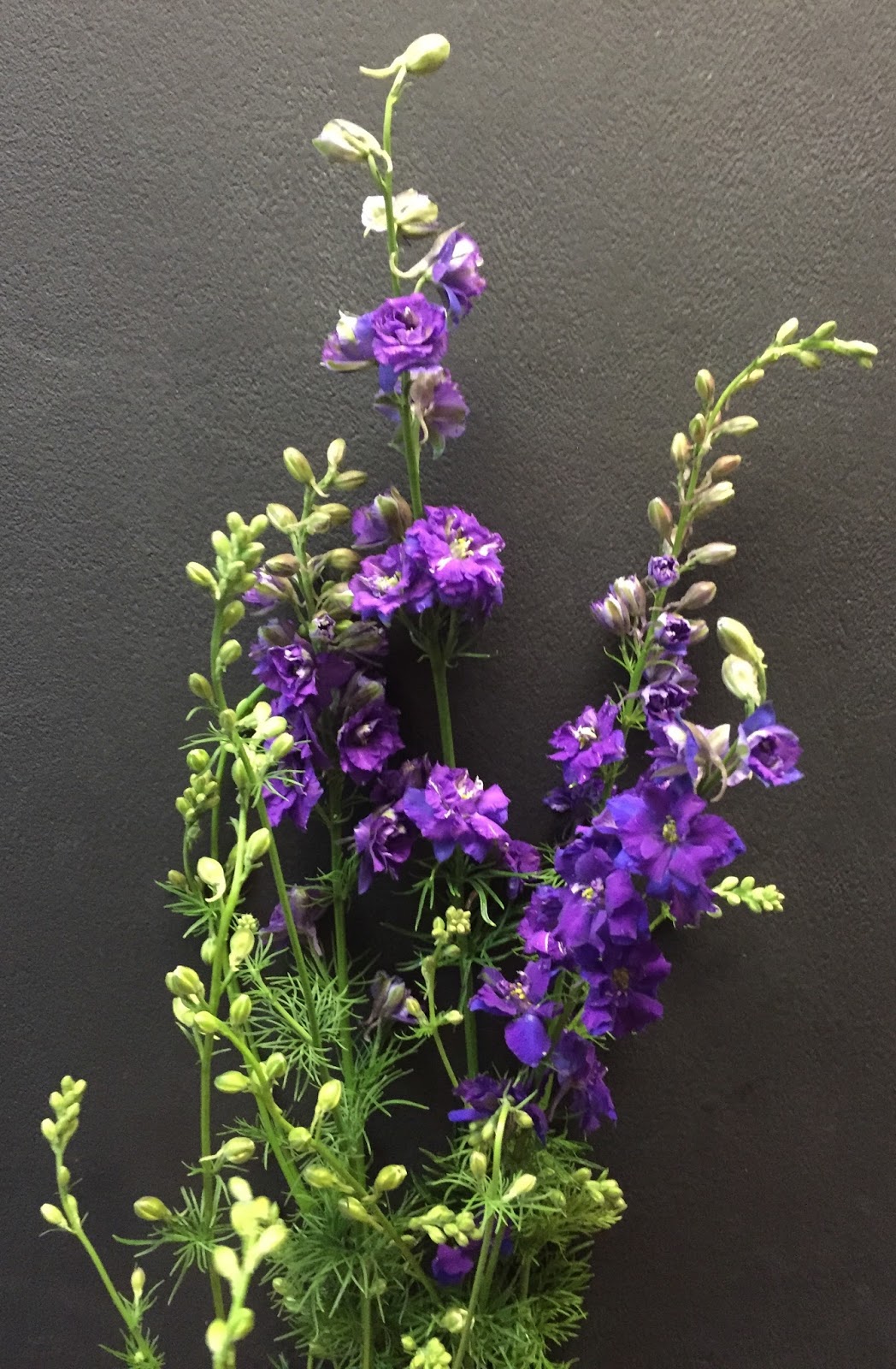 The Enchanted Petal: Lisianthus