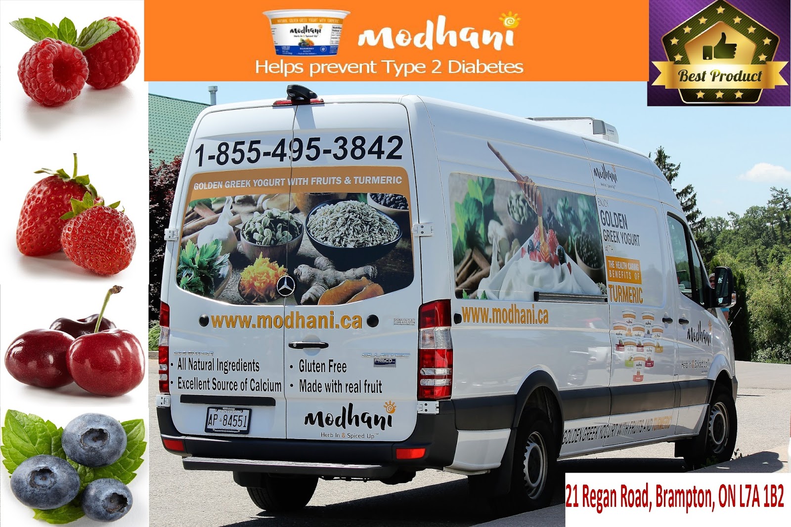 Modhani Yogurt VS Other Yogurt