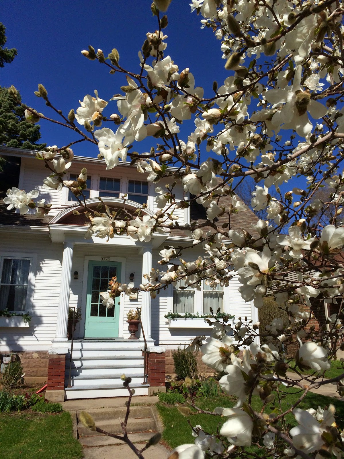 Calamitous Botanicus : Flowers Bloom & Burt Gets to Work