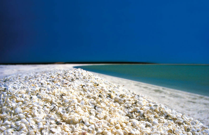 Discover Your Next Destination: Shell Beach, Shark Bay, Western Australia