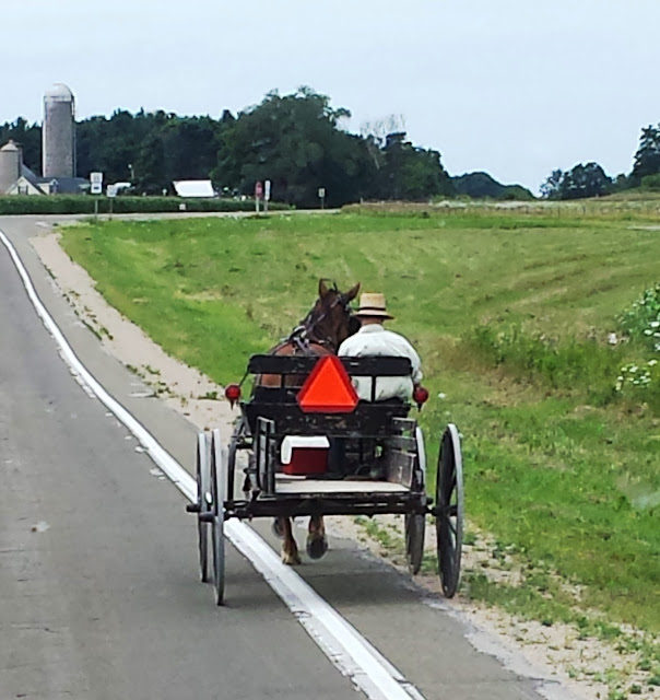 Traveling with the Tumbleweed and Toad: Amish - Pig Wrestling - My ...
