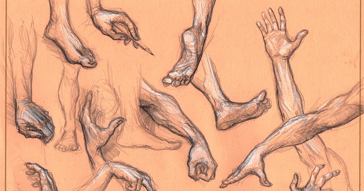 Michele Giorgi Illustrator : Anatomy sketches!