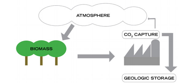 Публично-частно партньорство -TRIFONOV: Интегрирани практики при ...