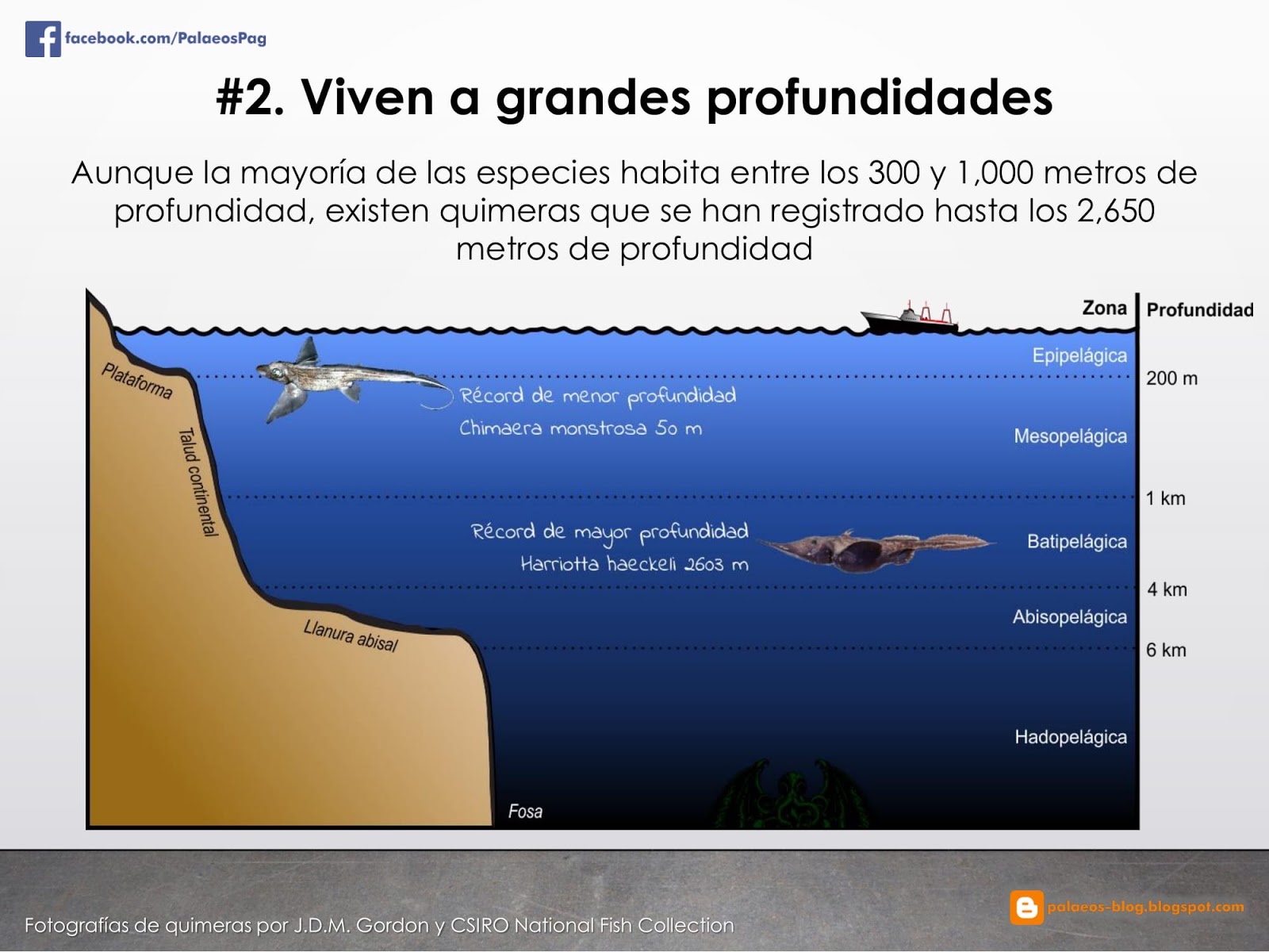 Palaeos, la historia de la Vida en la Tierra: 10 hechos sobre quimeras ...