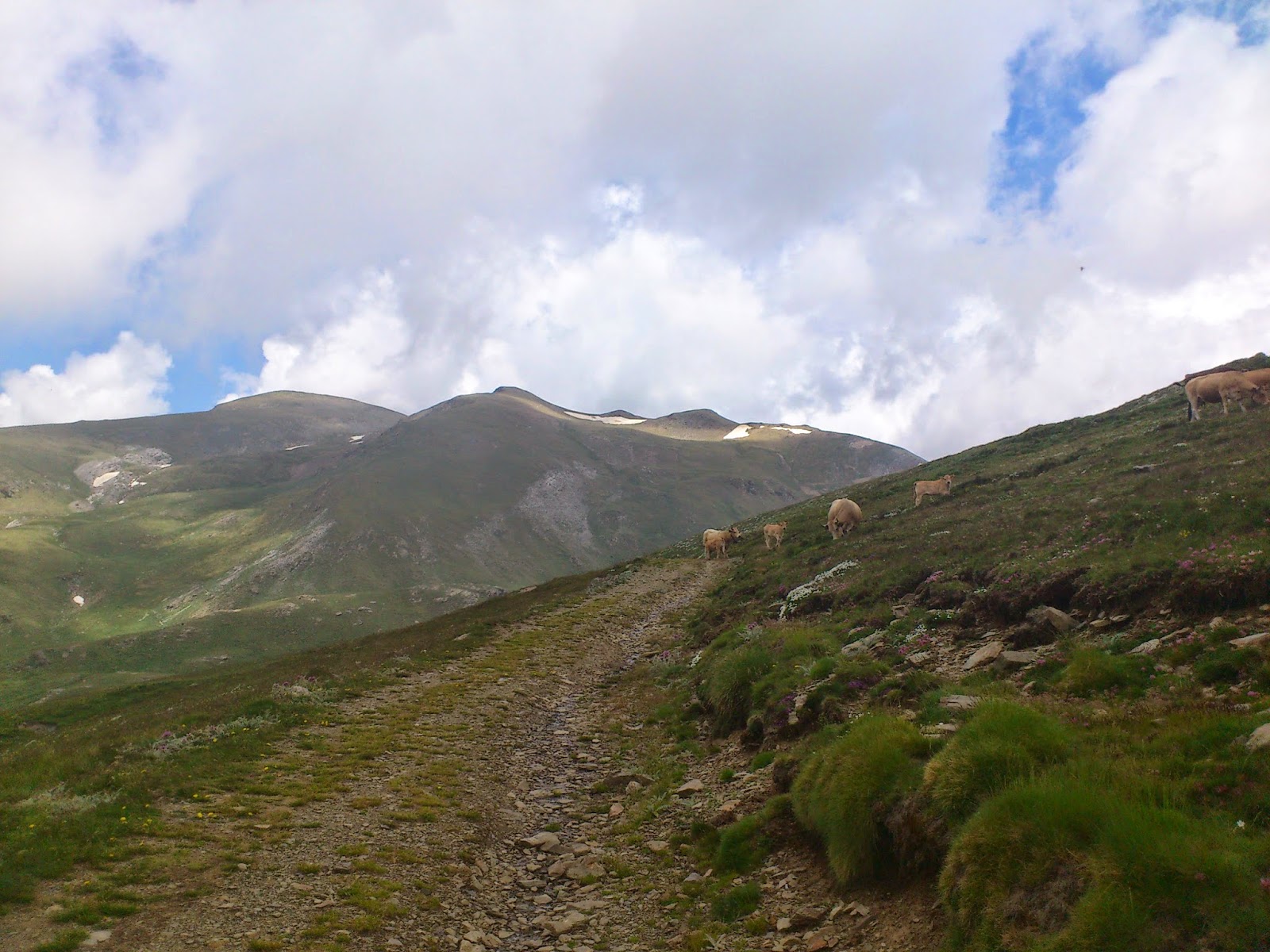 Campo Base (Ascensiones en alta montaña): Balandrau (2.585m) - 23 Junio ...