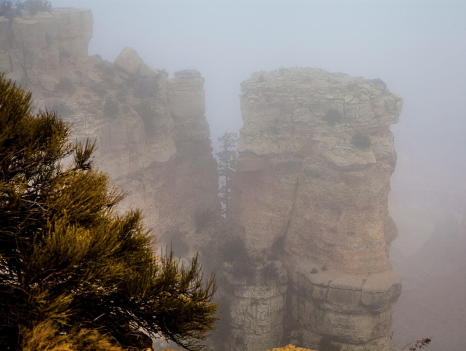 Walking Arizona: Cliff in the Fog
