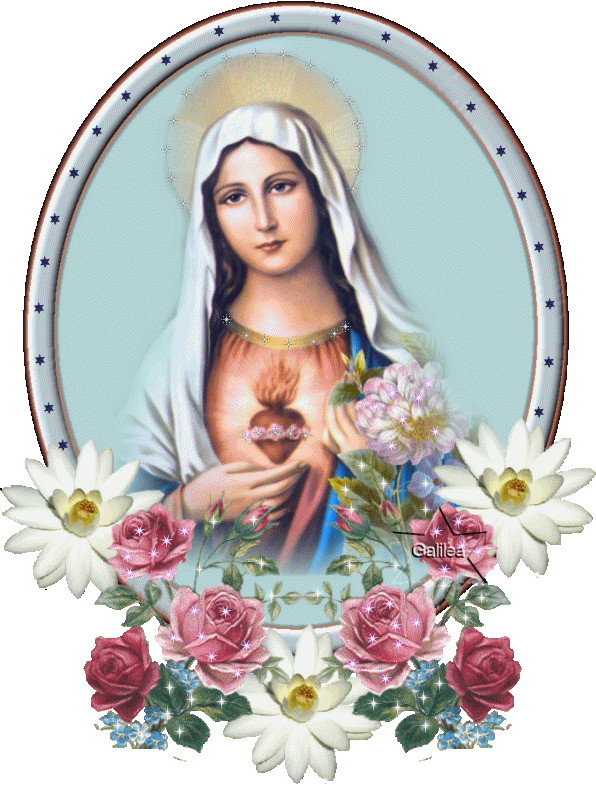 ® Virgen María, Ruega por Nosotros ®: FLORES PARA LA VIRGEN MARÍA