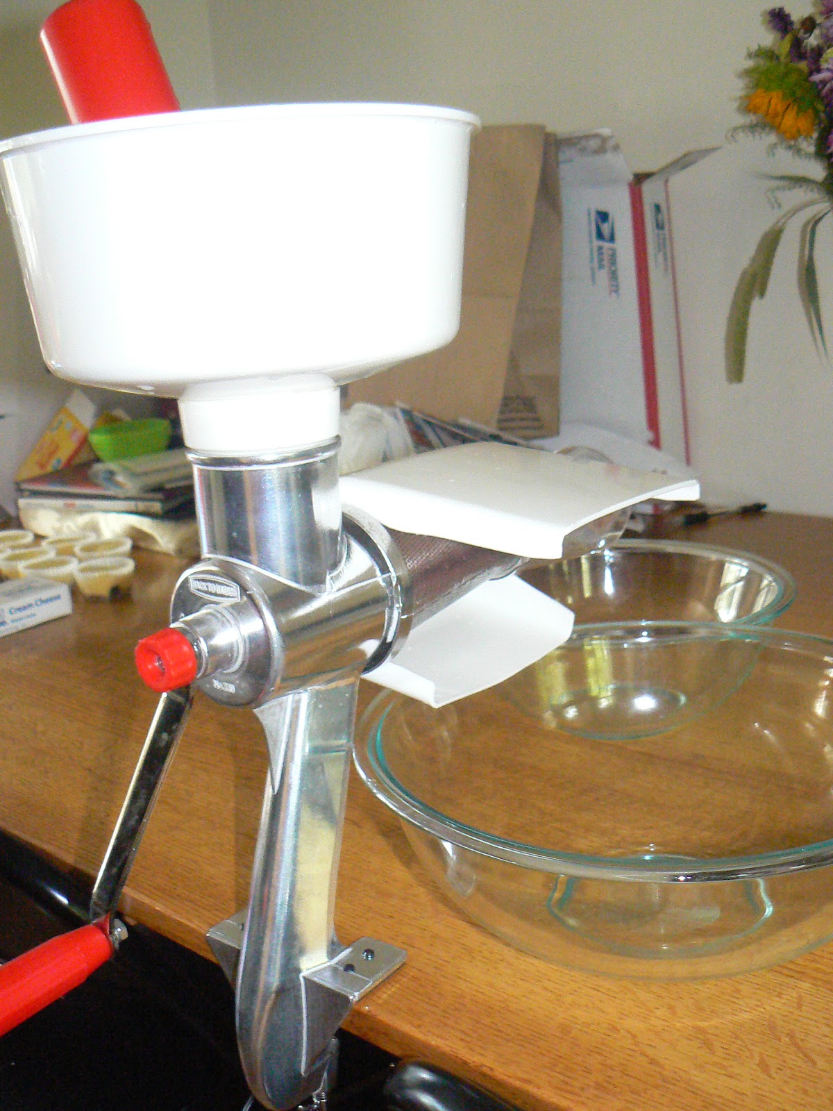 A Beautiful Ruckus: Adventures in Homemade Applesauce