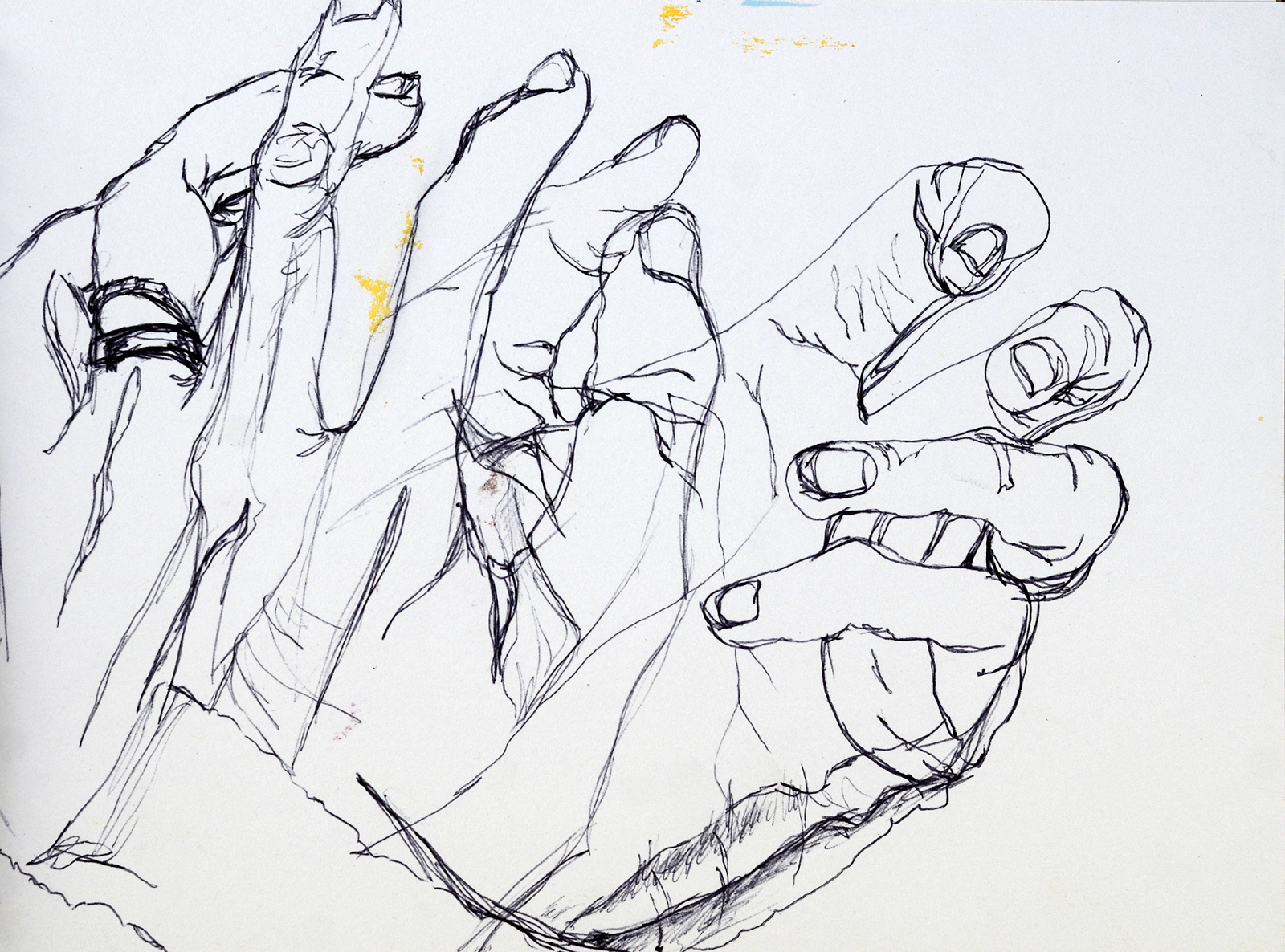 Drawing 1 Learning Log: Part 4 Project 4 Exercise 1 Structure