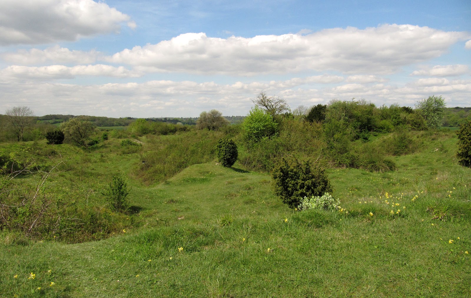 Kathryn Jones Photography: Noar Hill, Hampshire