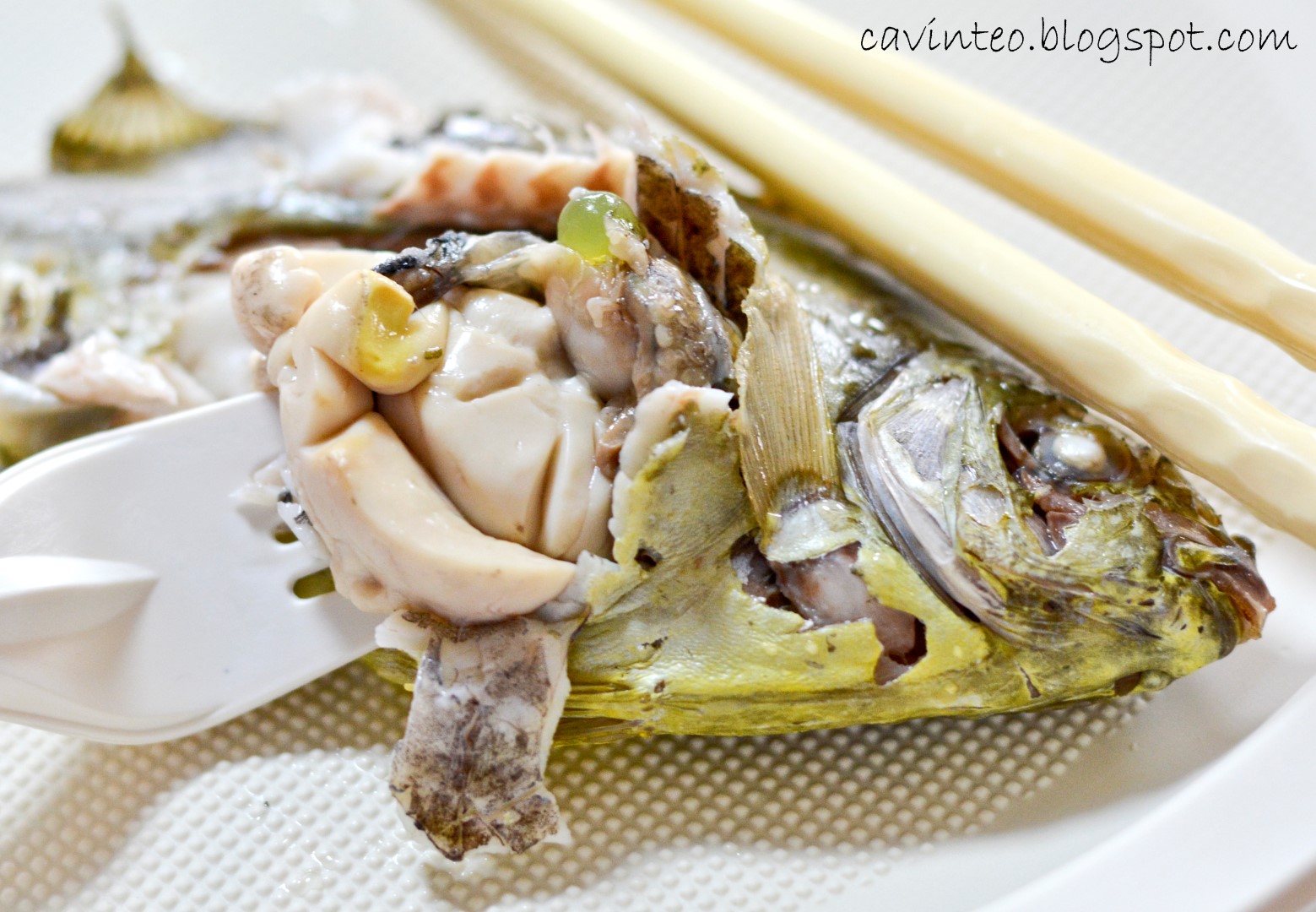 Entree Kibbles: The Fish That's a Must Have for Chinese New Year ...