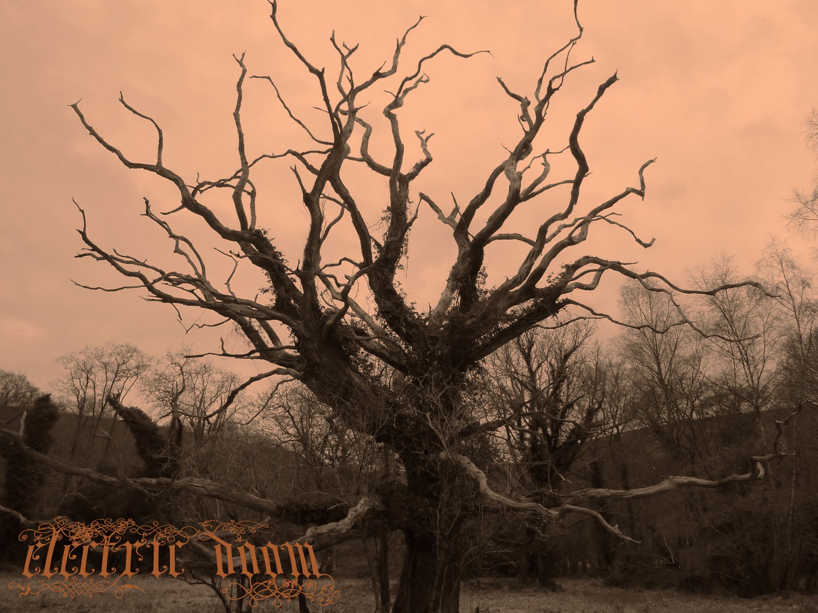 Electric Doom: Ulver - Shadows Of The Sun (2007)