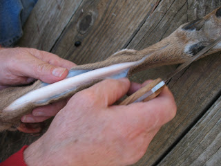 Sensible Survival: Preparing and Using Sinew