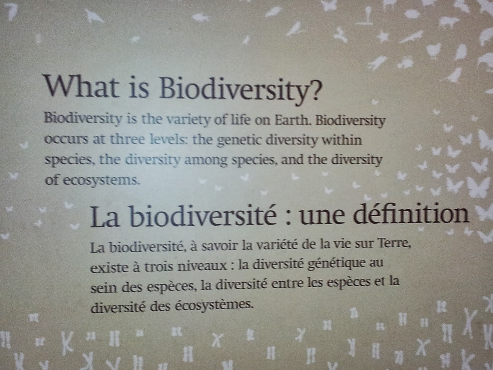 The MT classroom: Gr 6 - science quiz - Biodiversity