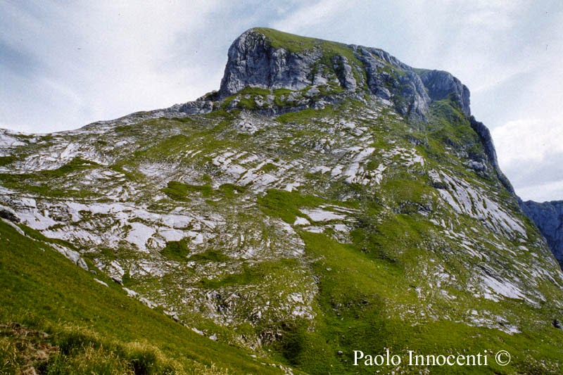 WWF Alta Toscana : DOMENICA 14 SETTEMBRE ESCURSIONE SUL MONTE SUMBRA ...