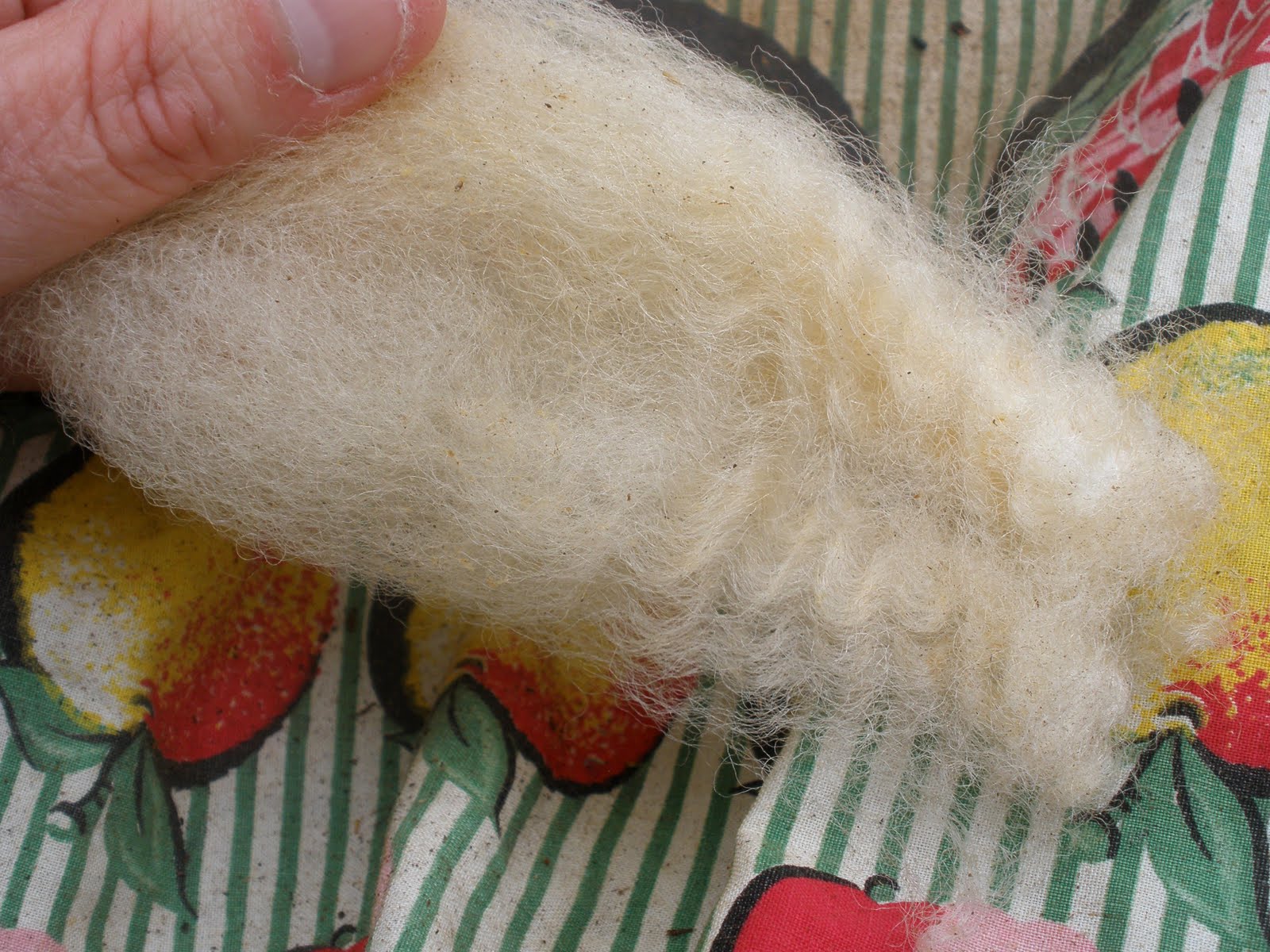The Fiber Bug: Preparing a Raw Fleece: Flick Carding the Locks