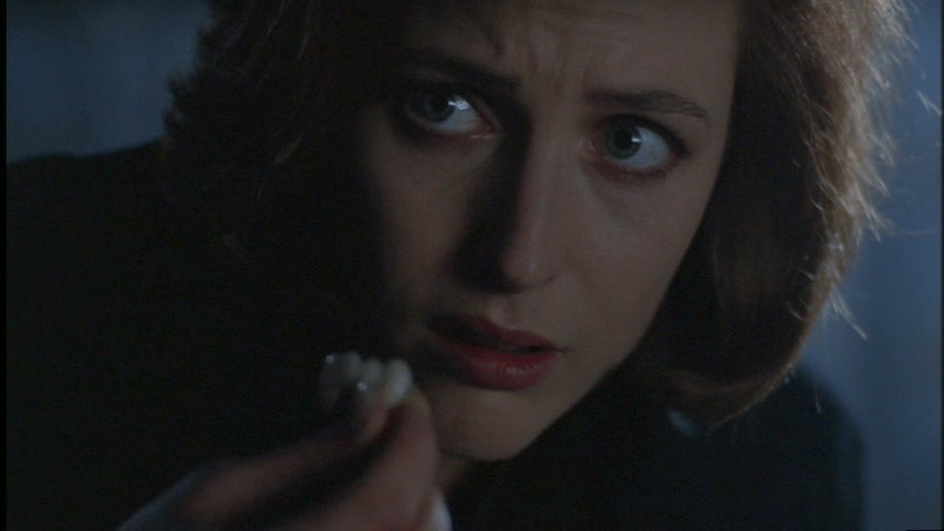 Doc Oho Reviews...: The X-Files Season Five