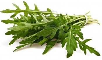 .: La ensalada: manual de uso