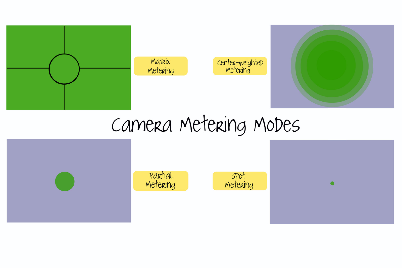 Nikon Newbie: Metering...What You Need To Know