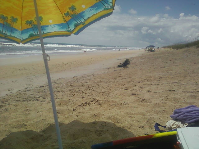 Mama Dunlap Writes: Apollo Beach, New Smyrna. Florida.