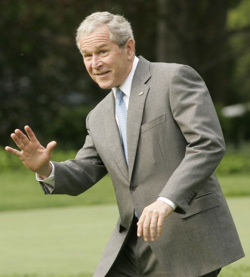 Cool Pictures: Funny bush pictures Gallery new collection.