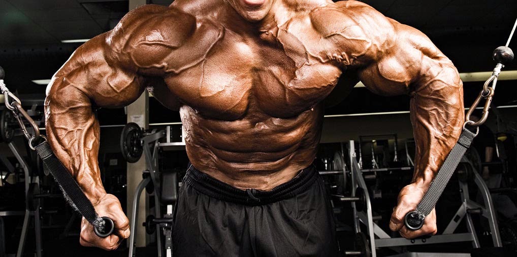 Dicas Bodybuilder: Cross over: Rasgue o peitoral