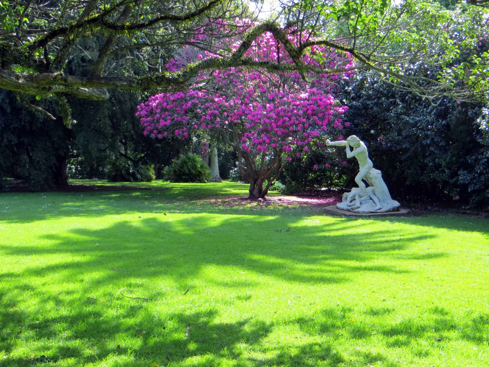 sconzani: December 2013