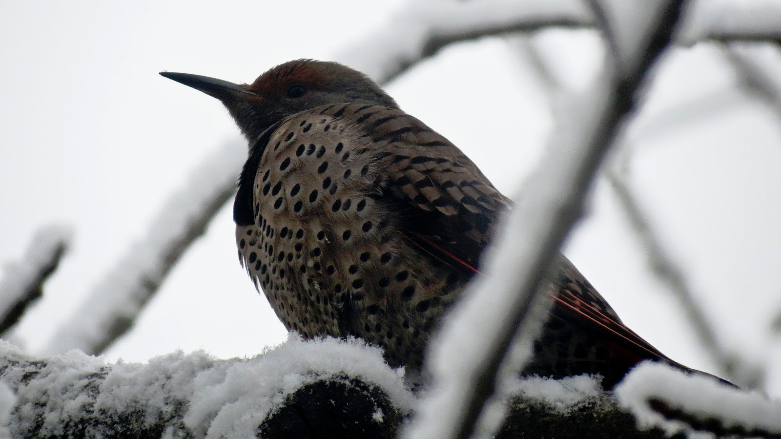 Awful Normal Photography