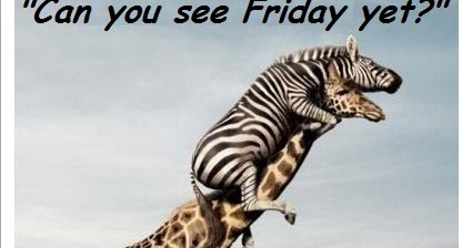 Reflections from Bon Bon Pond: Thursday Greetings!