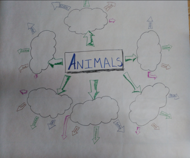 SGAguilar Javier Ramos: Project: My Augmented Zoo (Year 1 - Lesson 4)