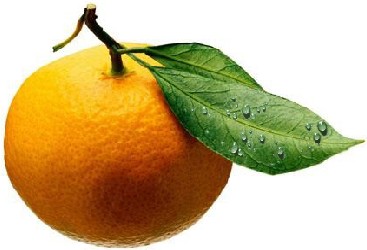 INFANTILES DE ANA V.: CONCEPTOS: LISO/RUGOSO