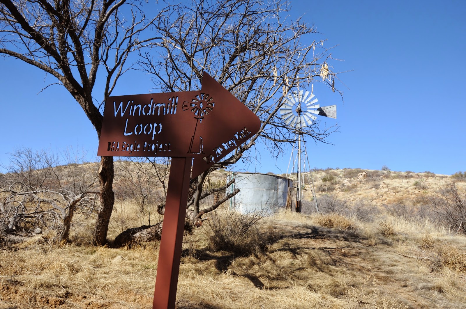 Arizona Hiking: ORACLE STATE PARK TRAILS