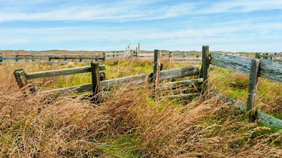 Excursionistas2: Beachcomber’s Paradise