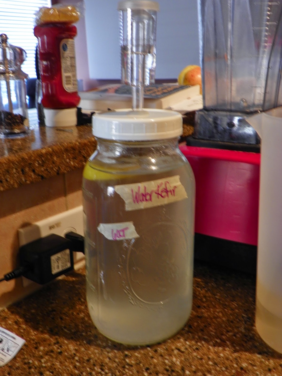 Weird Shit in Jars: Creation and Alchemy in Glass