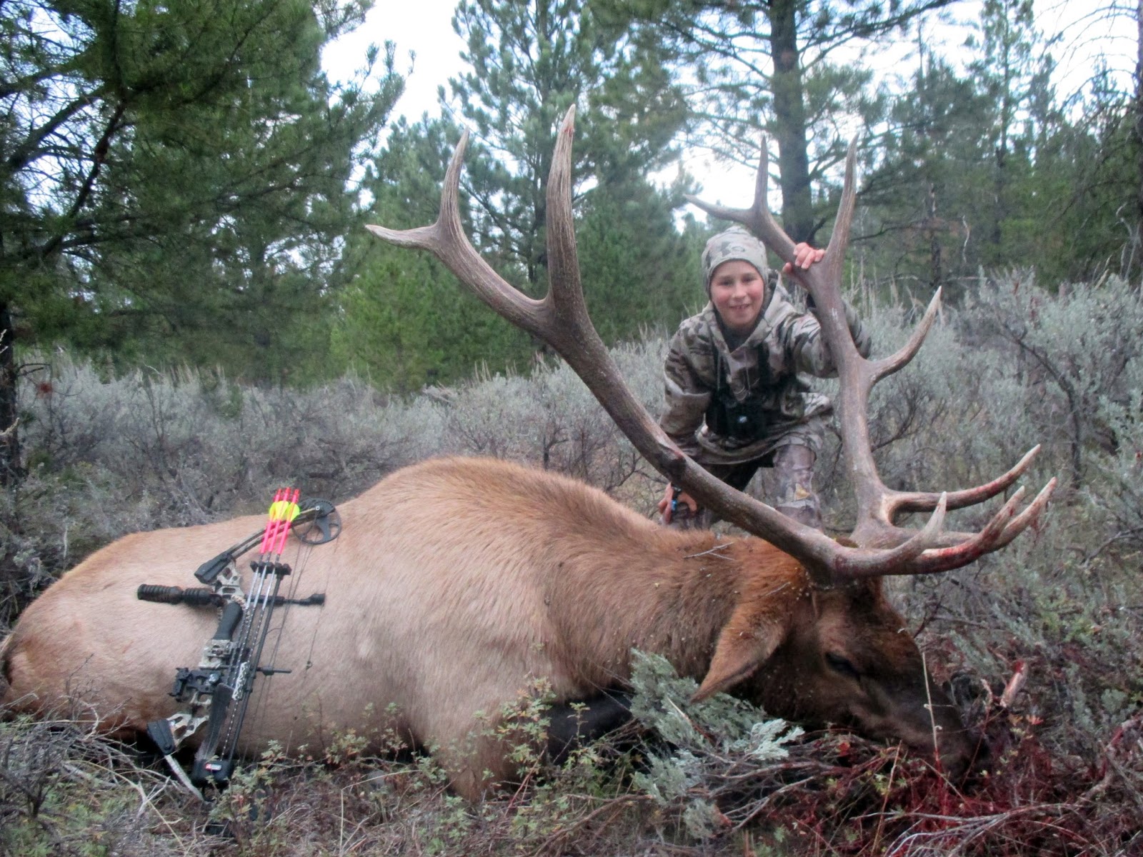 The most effective method to Properly Shoot an Elk With a Rifle - Outdoor