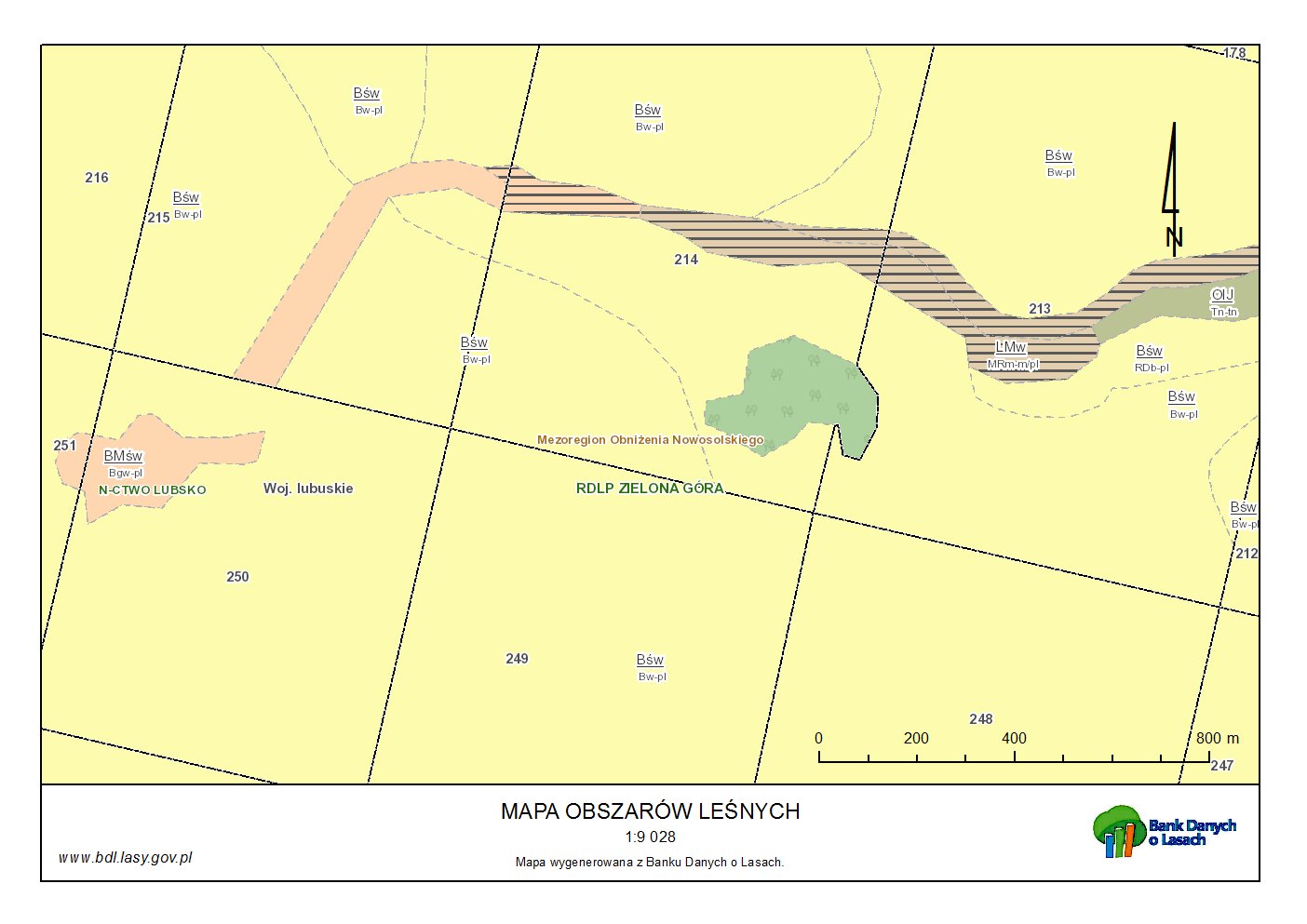 Na-Leśnik: Bank danych o lasach - potężne źródło informacji