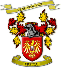 FAMILIA BUENO: Origem Familia Freitas