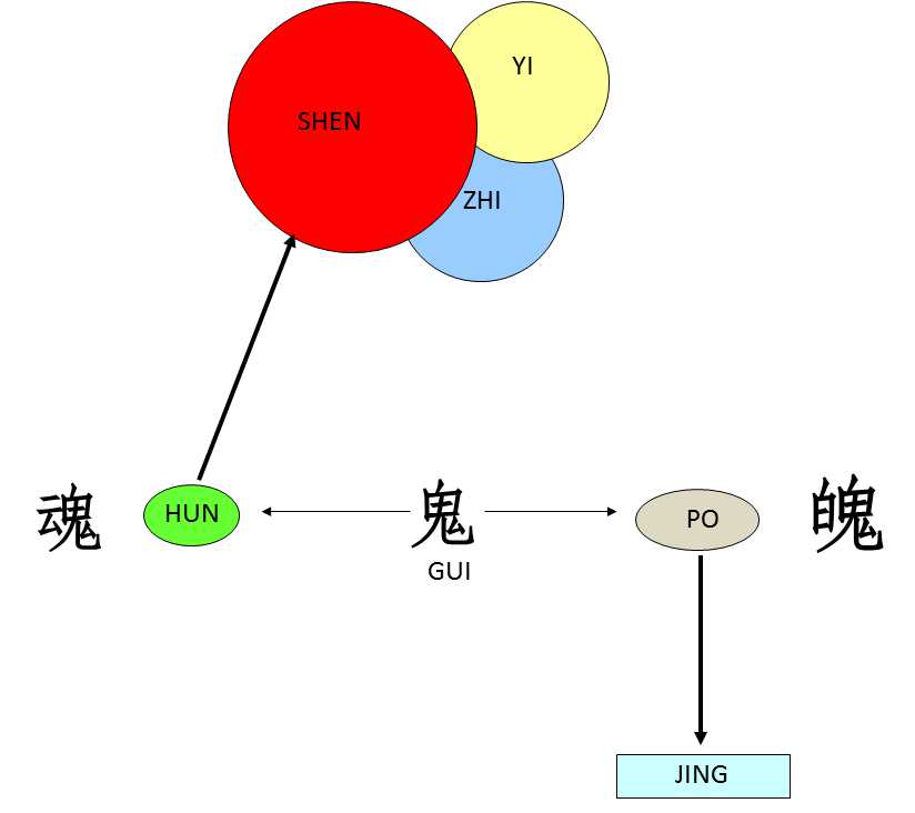 Maciocia Online: SHEN AND HUN: THE PSYCHE IN CHINESE MEDICINE
